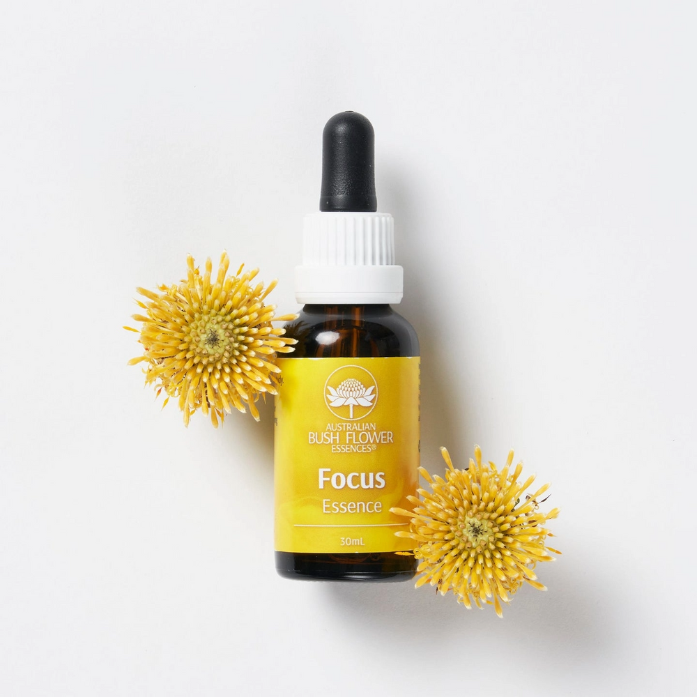 ABFE | Focus Drops