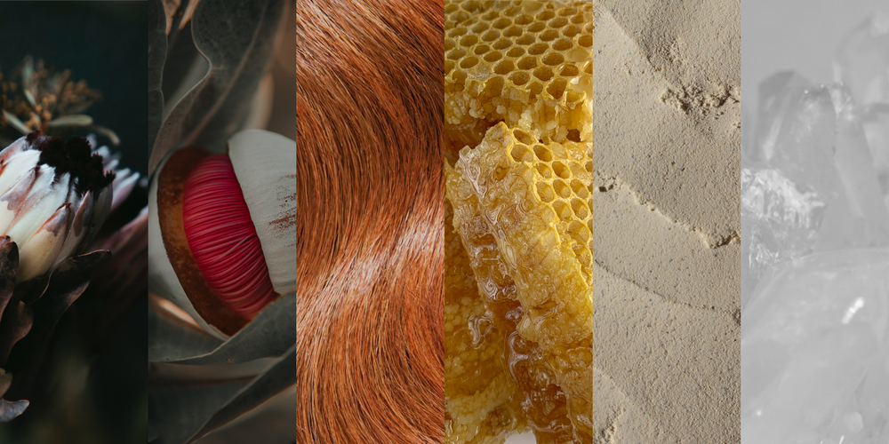 Planet Health - Welcome to your home of all things health – Planet ...